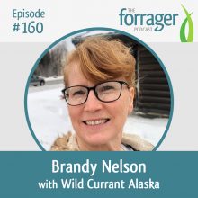 The Forrager Podcast for Cottage Food Businesses